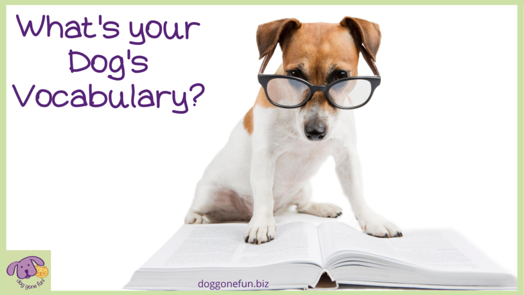 What s Your Dog s Vocabulary Dog Gone Fun Dog Training Ashland What s Your Dog s Vocabulary Dog Gone Fun Dog Training Ashland